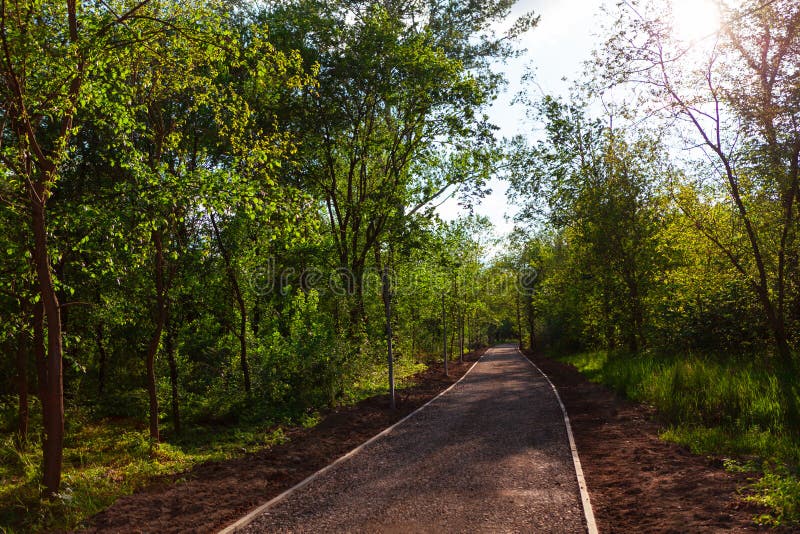 Sidewalk path in the park stock photo. Image of leaves - 251324352