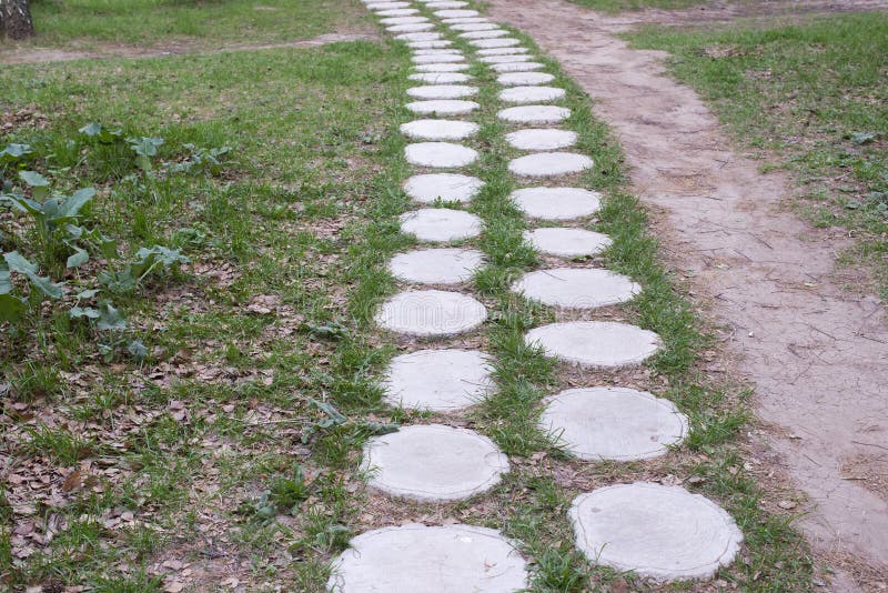 Sidewalk Path with Round Tiles on the Ground in Summer Stock Photo ...