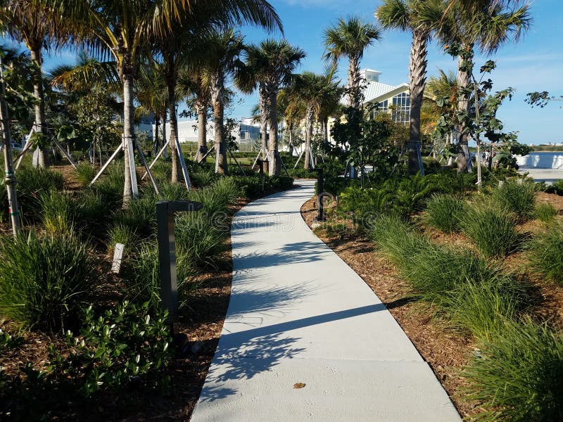 Sidewalk and Plants with Trees with Wooden Supports Stock Image - Image ...