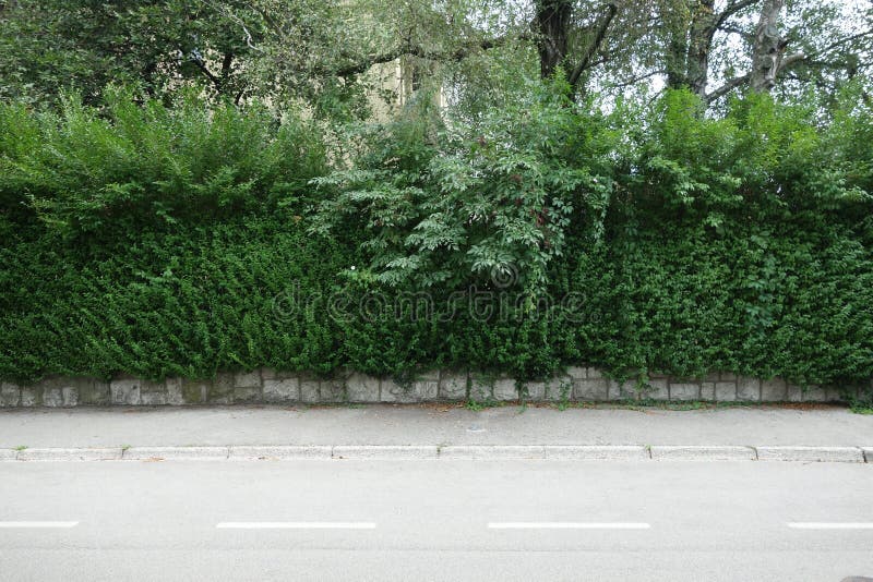 Side View on Street with Sidewalk Stock Image - Image of road, asphalt ...