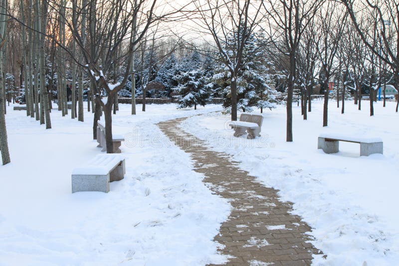 Winter Sidewalk stock image. Image of road, nature, brick - 46000139