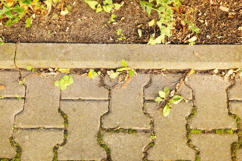 Sidewalk with weed gr stock photo. Image of natural - 200137204