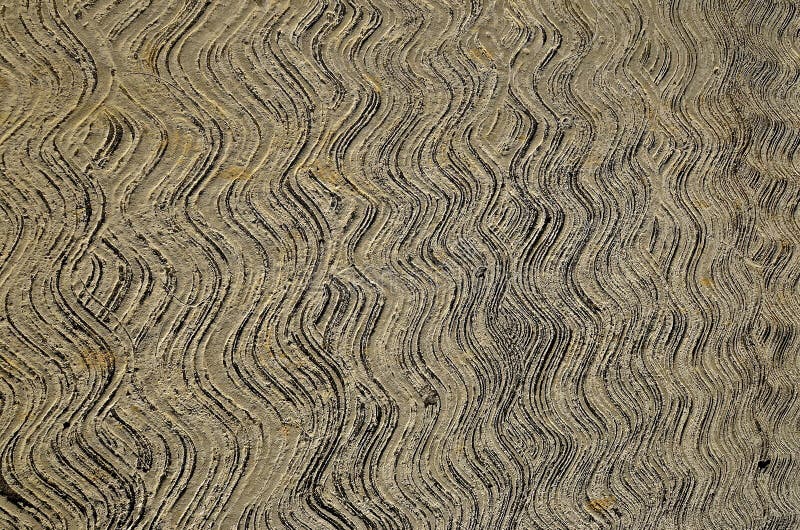 Sidewalk Texture from Sweeping Wet Concrete Stock Photo - Image of ...