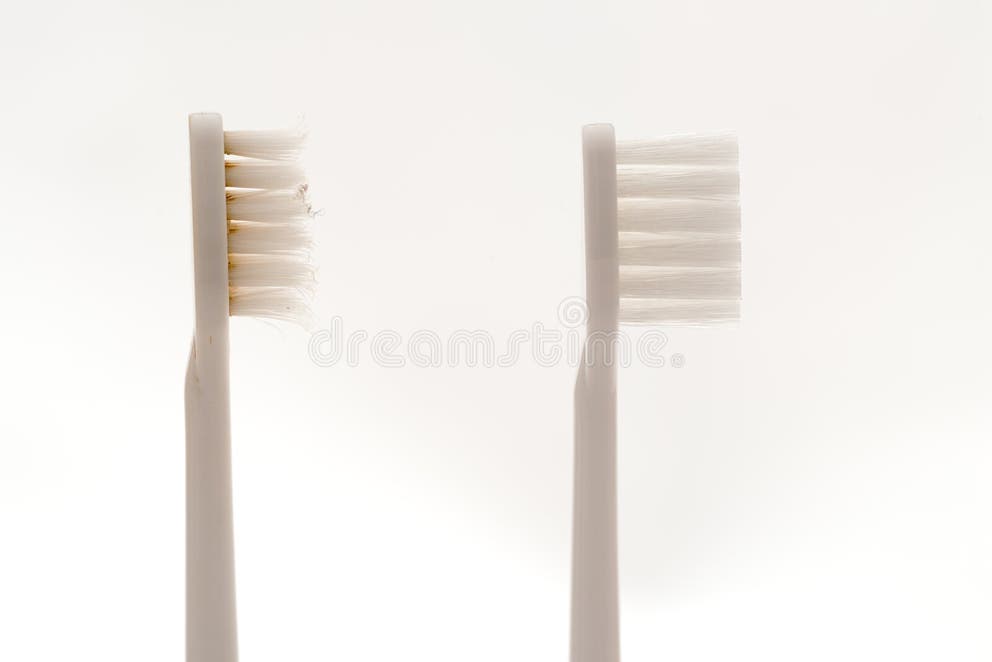 Two toothbrushes stock photo. Image of prevention, necessities - 210052404