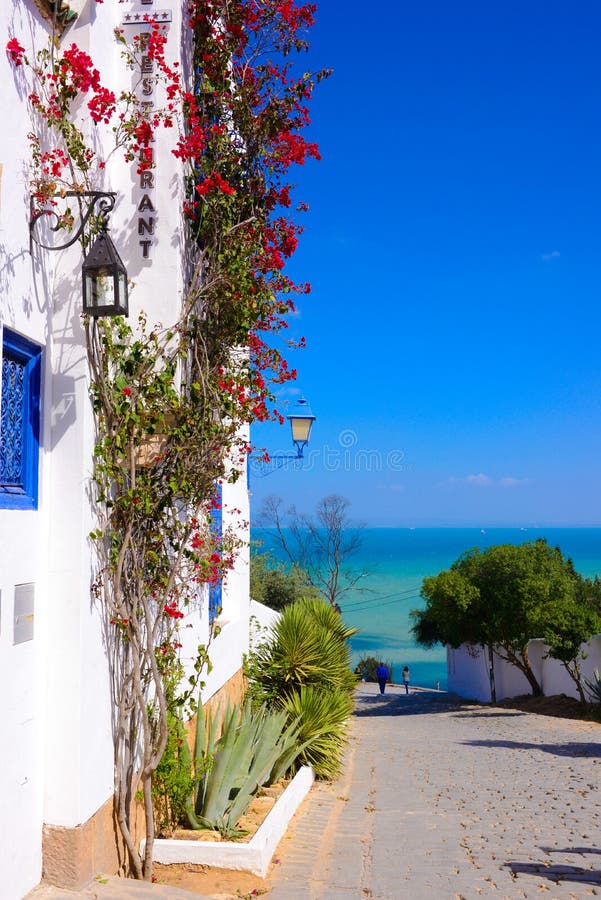 Sidi Bou Said, Belle Porte Arabe Bleue, Architecture Méditerranéenne ...