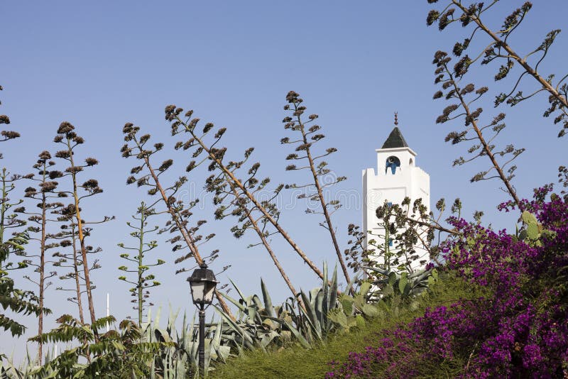 Sidi Bou Said Mosque, Tunisia Stock Image - Image of minaret, cactus ...