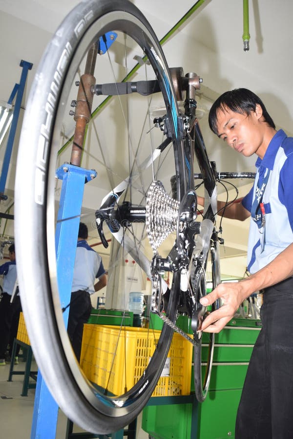 Workers Check on the Assembly Line at the Assembly Bicycle Bike ...