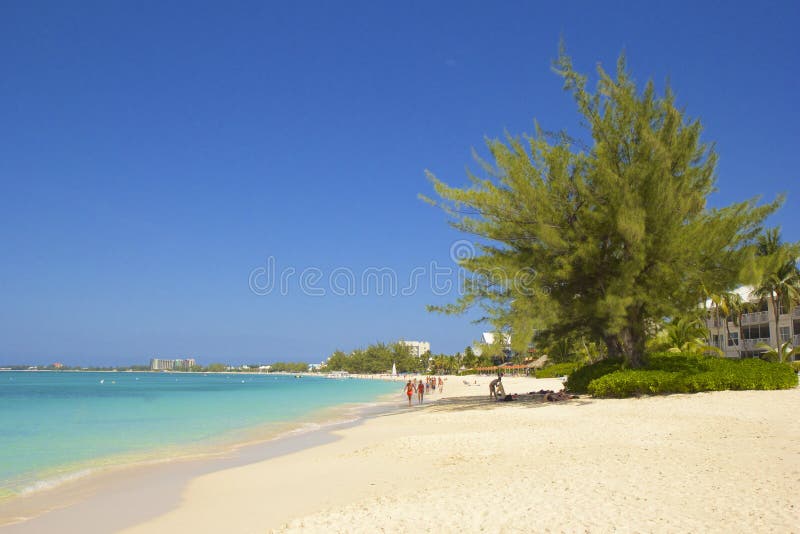 Sieben-Meilen-Strand in Grand Cayman Stockfoto - Bild von sonne, meer ...