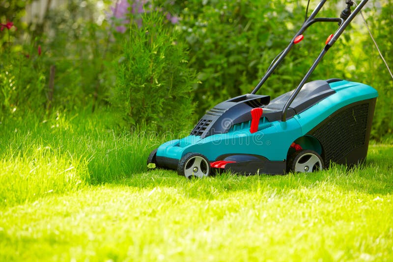 Siega del césped foto de archivo. Imagen de cara, campo - 21518192