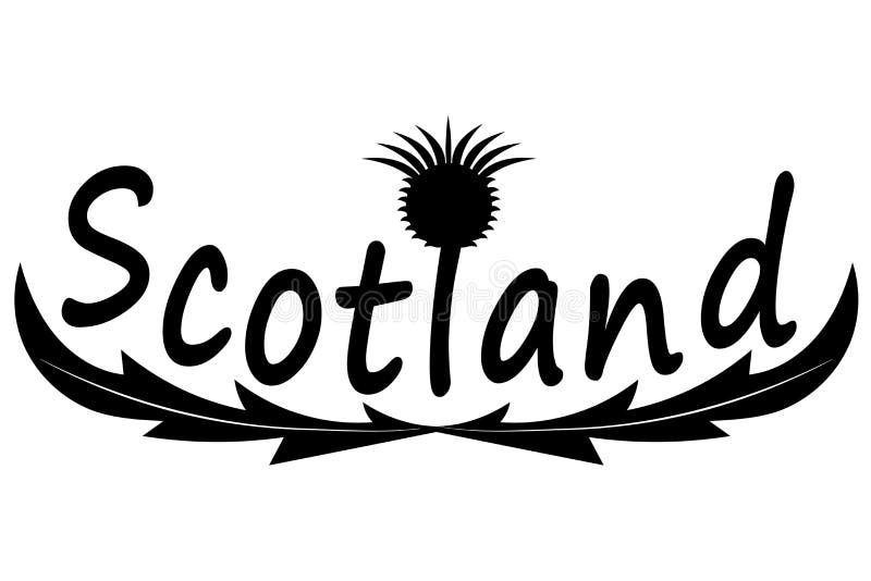 Schottische Distel. Symbol Von Schottland Vektor Abbildung ...