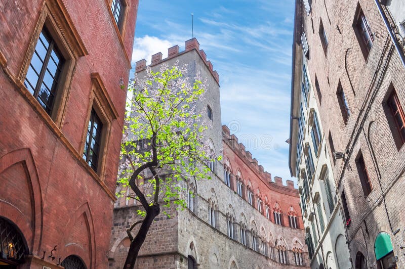 Siena Old Town Architecture in Spring, Italy Stock Photo - Image of ...
