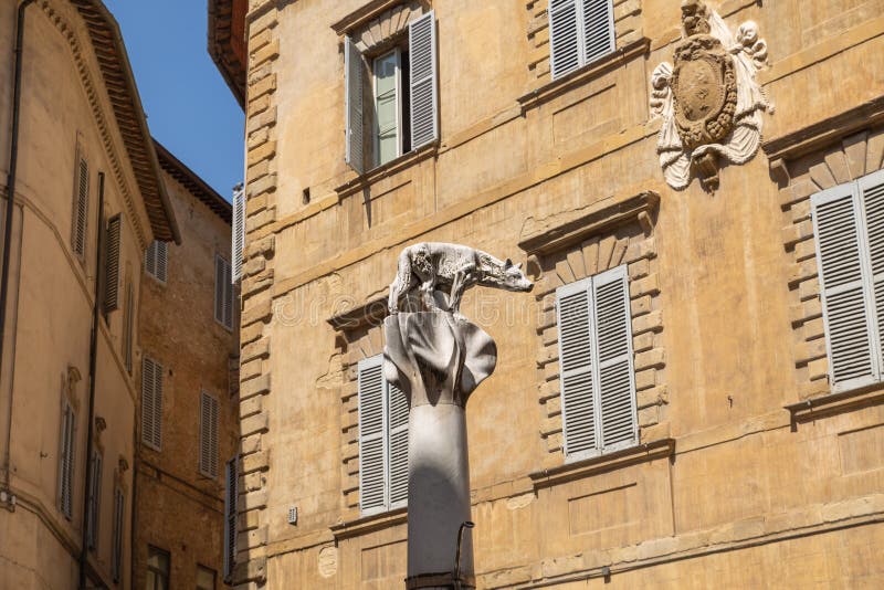 Siena wolf stock image. Image of travel, destination, statue - 9374693