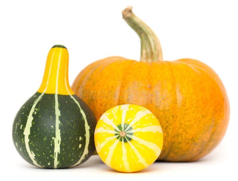 Sierpompoenen en pompoen stock afbeelding. Image of geïsoleerd - 34194023