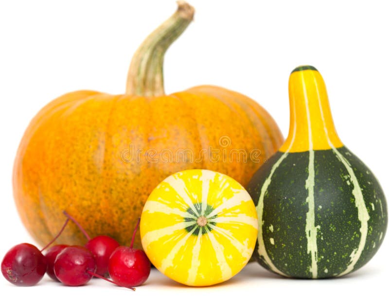 Sierpompoenen en pompoen stock foto. Image of niemand - 34196824