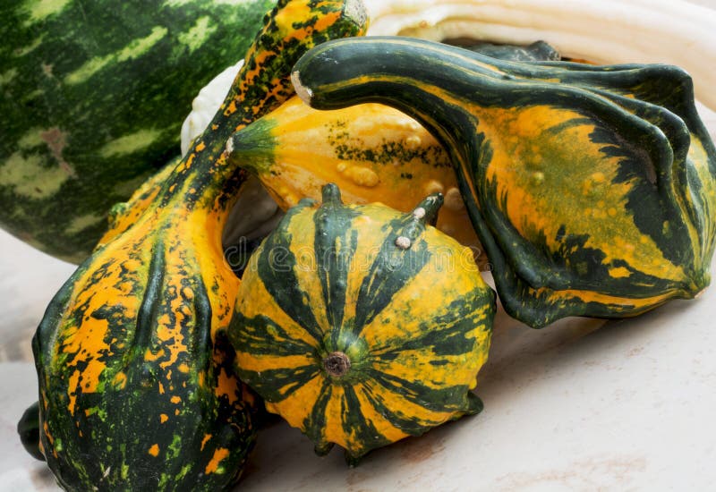 Sierpompoenen Op De Keukenlijst Stock Afbeelding - Image of achtergrond ...