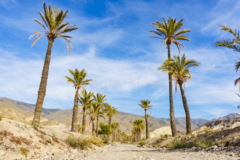 Sierra Alhamilla Landscape, Spain Stock Photo - Image of landscape ...