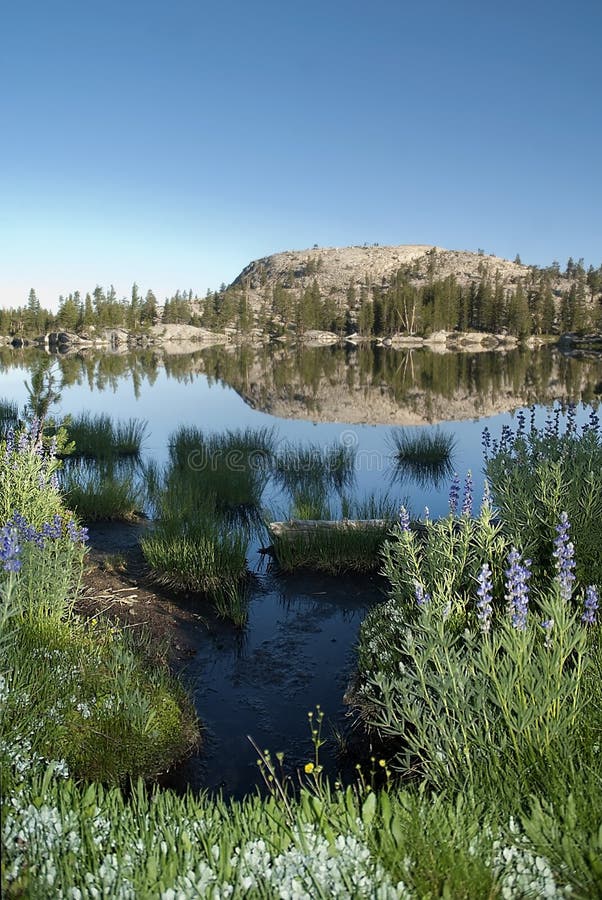Sierra Lake Reflection stock image. Image of sierra, alpine - 22596831