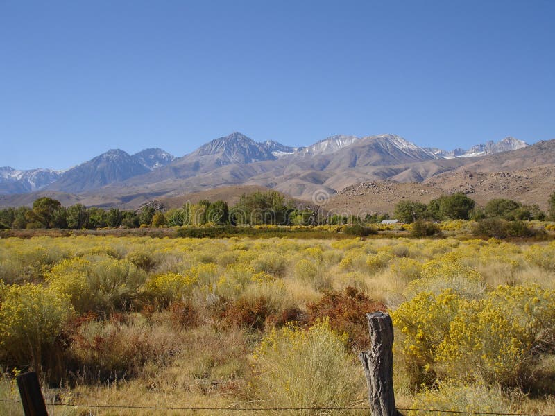 Pinyon Juniper and Sage Biome in East- Central Nevada. Stock Photo ...