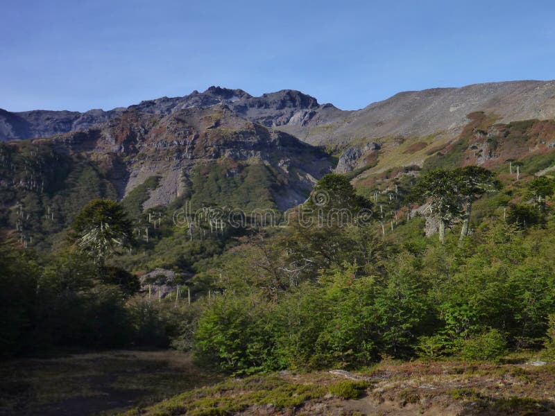 Sierra Nevada Ridge in Las Araucarias Stock Image - Image of chile ...
