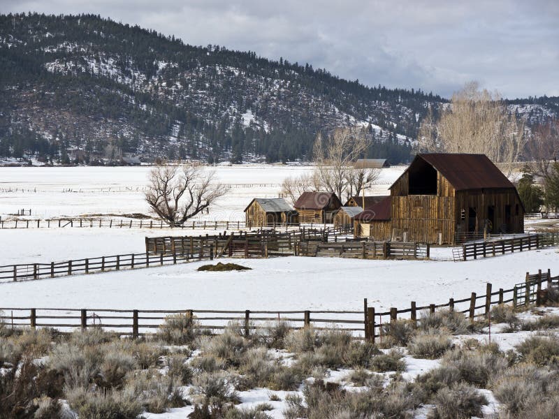Sierra Valley Ranch in Winter Stock Photo - Image of homestead, frost ...