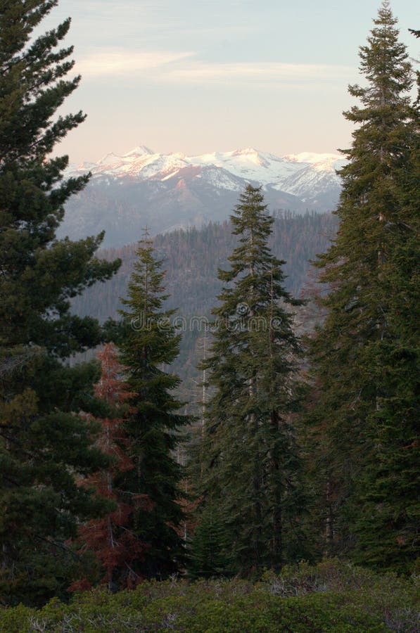 Sierra View stock image. Image of sierra, diego, view - 139241179