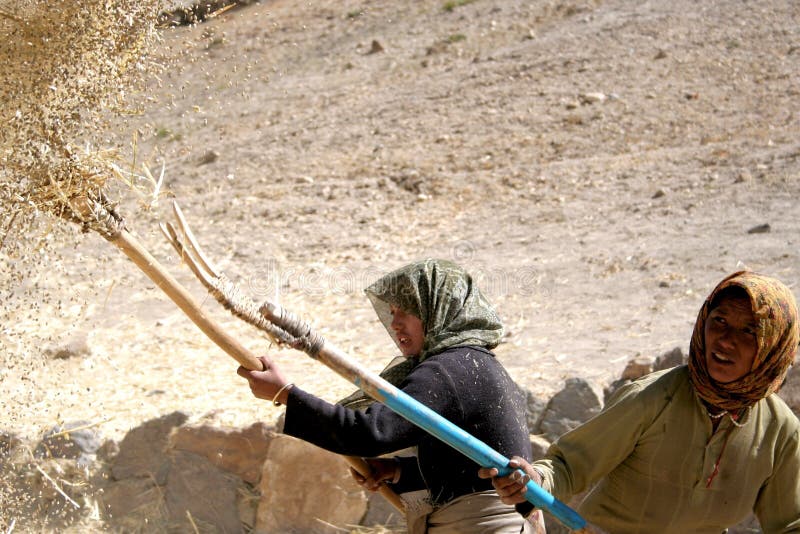 Sifting the chaff editorial photo. Image of women, valley - 22288971