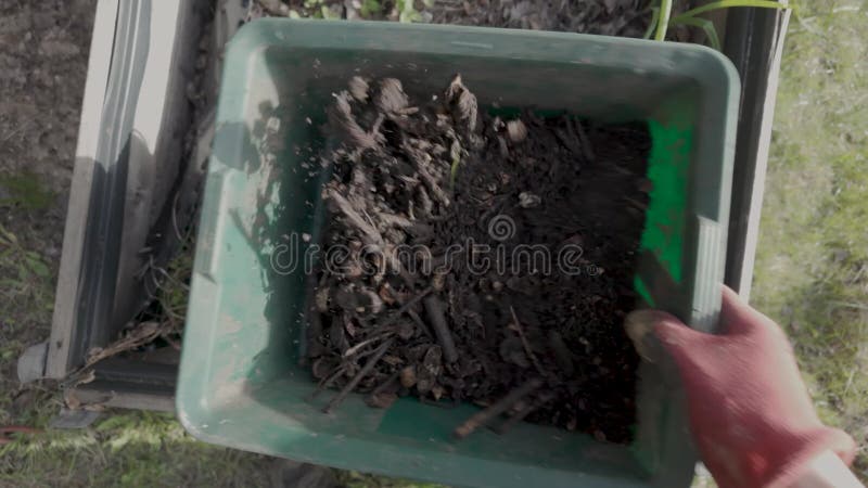Sifting Fresh Compost. Separation Soil and yet Uncomposted Parts Stock ...