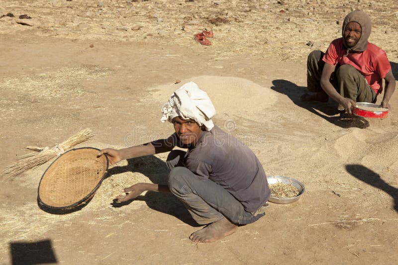 Sifting the Grain through the Sieve by Hand Stock Image - Image of oats ...