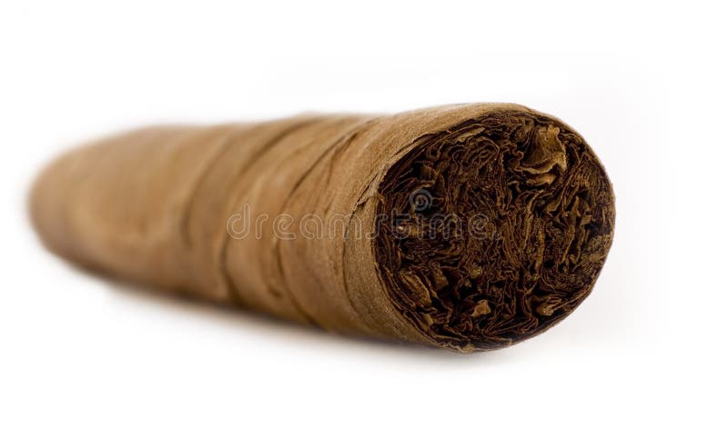 Sigaar stock foto. Image of sigaar, verslaving, sluit - 1310656