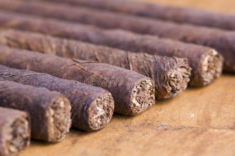 Sigari cubani immagine stock. Immagine di sigari, abitudine - 8448723