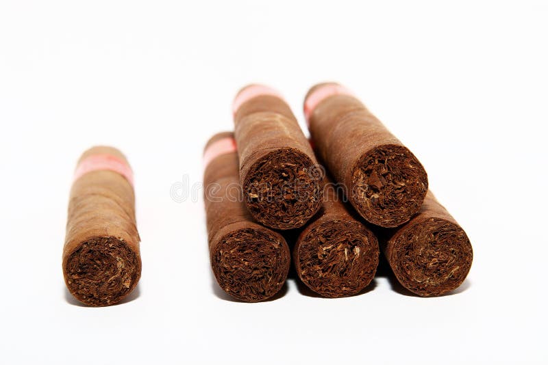 Sigari Cubani In Un Grande Mucchio Dentro Un Humidor Fotografia Stock ...