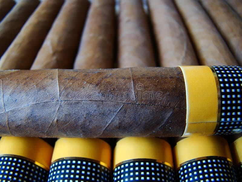 Sigari cubani in casella immagine stock. Immagine di fumare - 13457855