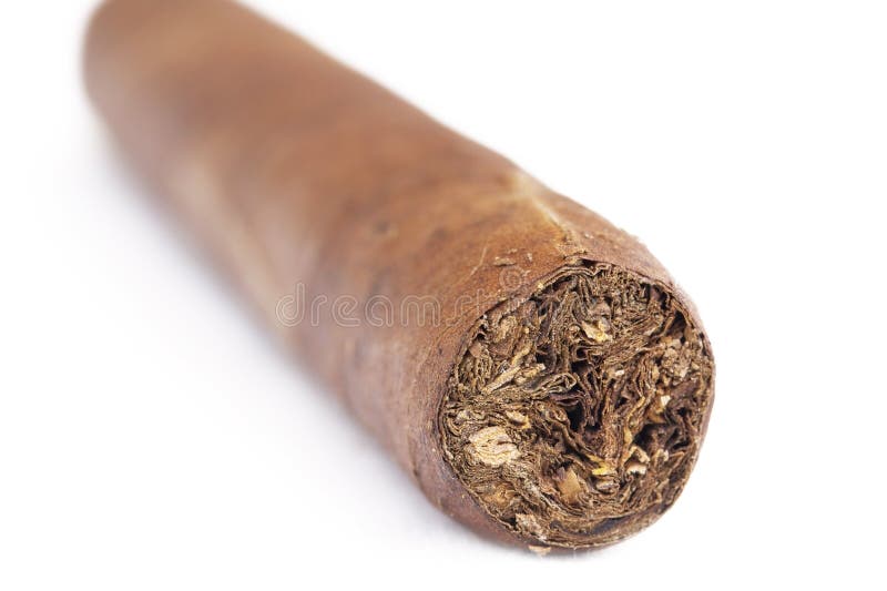 Sigaro isolato su bianco immagine stock. Immagine di lifestyle - 12386571