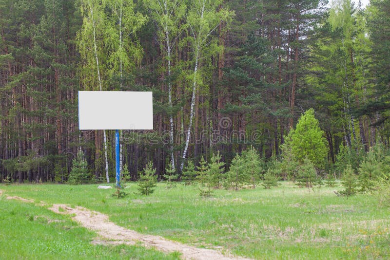 436 Empty Signage Forest Frames Stock Photos - Free & Royalty-Free ...