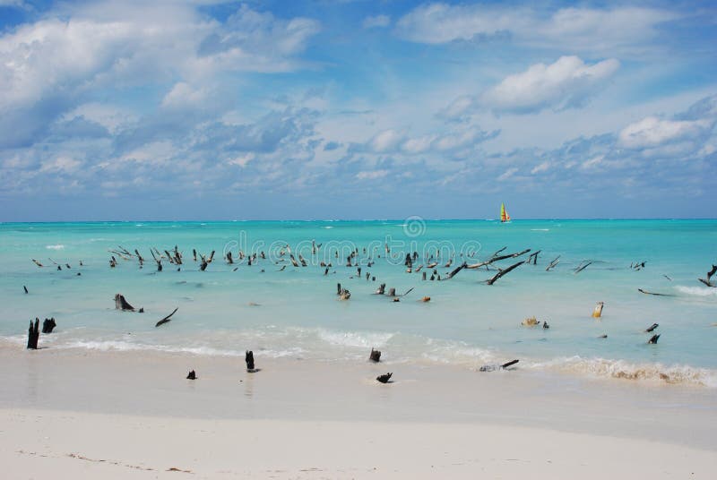 A beach in a Cuban island stock image. Image of tropical - 29918913