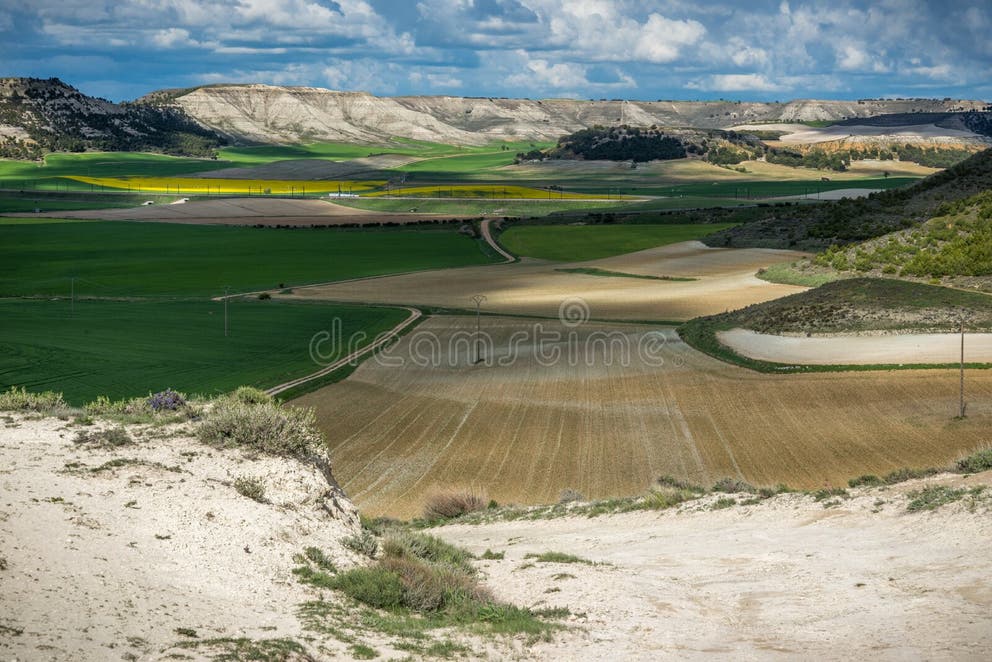 Sight of the Fields in Spring in Spain Stock Image - Image of plant ...