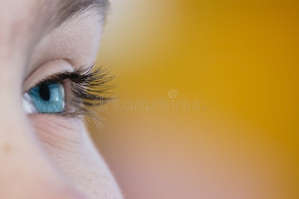 Sight in the future. stock image. Image of envisage, iris - 5390039