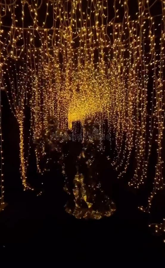 Sight night stock photo. Image of sparkler, lighting - 258675670