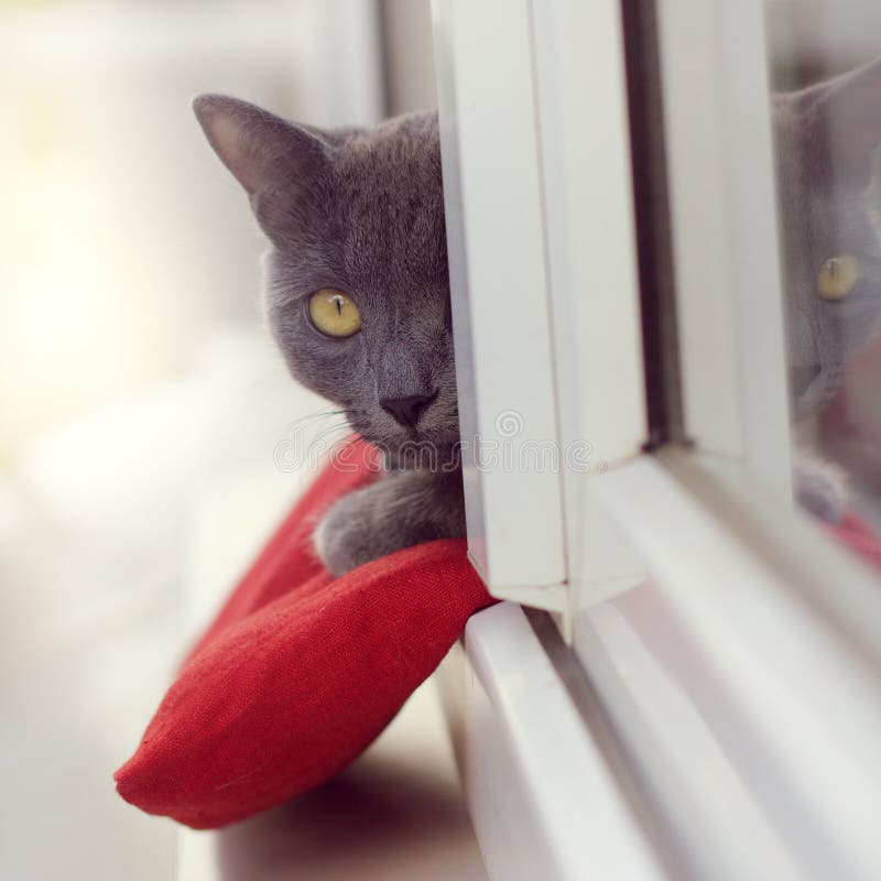 Sight from the window stock photo. Image of comfortable - 83533700