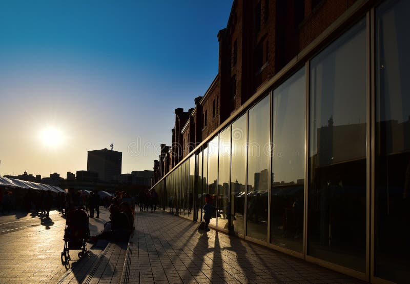 The Sight of the Window Glass of the Building Illuminated by the ...