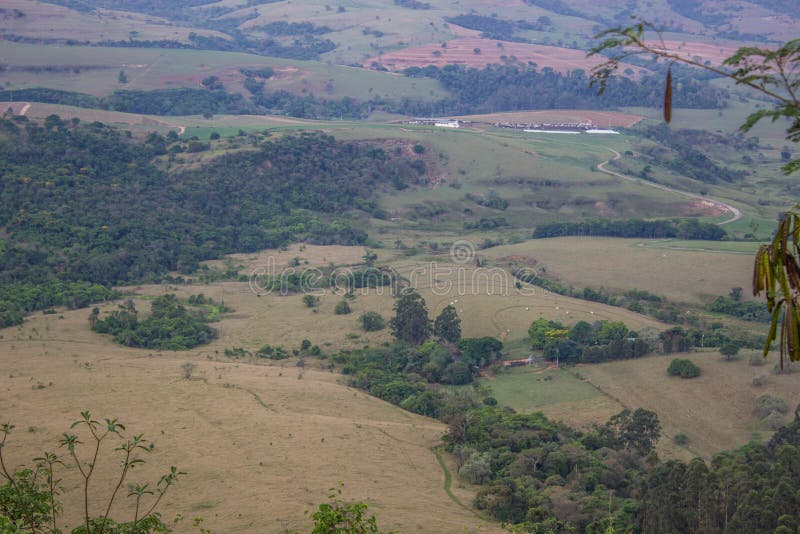 The sight stock photo. Image of green, looked, immense - 144016312