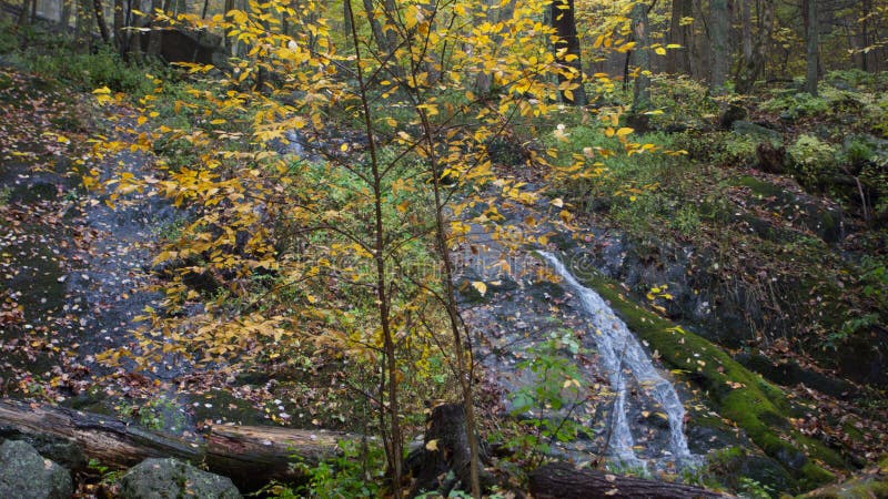 View of Wigwam Falls Off the Blue Ridge Parkway in Virginia in Autumn ...