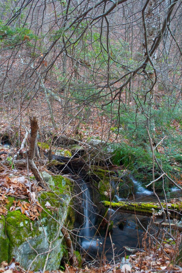 Sights on the Apple Orchard Falls Trail Off of the Blue Ridge Parkway ...