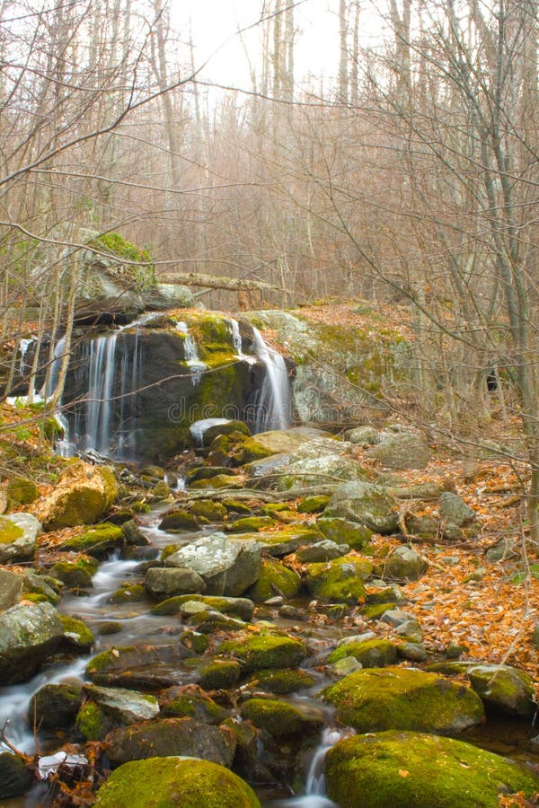 Sights on the Apple Orchard Falls Trail Off of the Blue Ridge Parkway ...