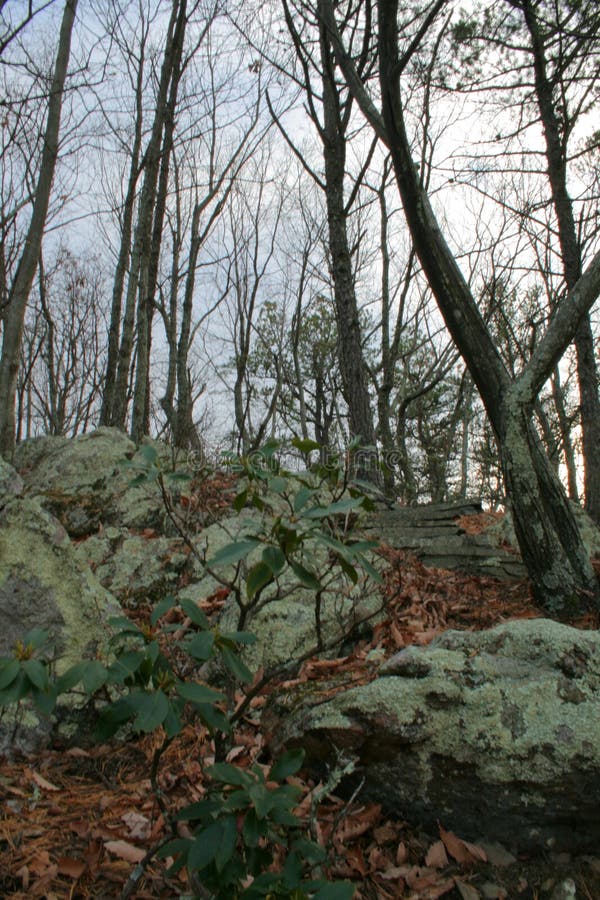 Sights on the Blue Ridge Parkway in Virginia Stock Photo - Image of ...