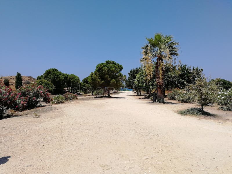 Sizzling Sun Baked Paphos editorial stock photo. Image of landscape ...