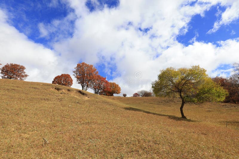Sights of the Ulan Prairie in Inner Mongolia, China Stock Image - Image ...