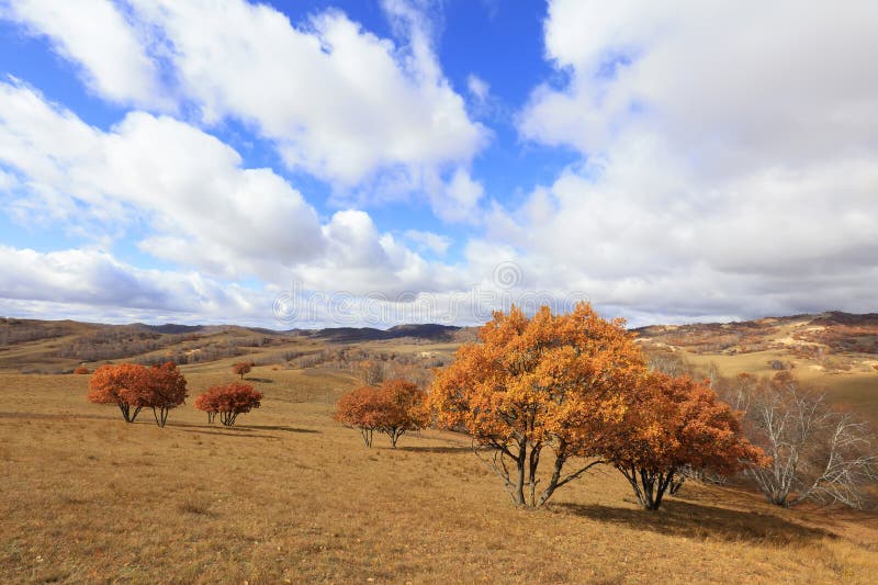 Sights of the Ulan Prairie in Inner Mongolia, China Stock Image - Image ...