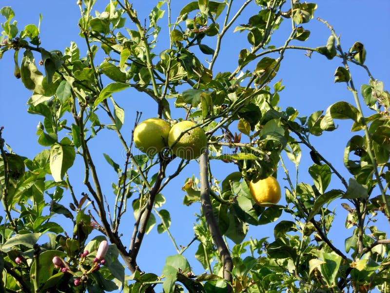 Sightseeing Interesting Views in Cyprus Stock Photo - Image of food ...