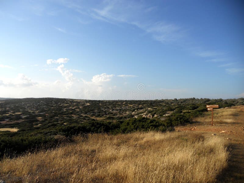 Sightseeing Interesting Views in Cyprus Stock Image - Image of tree ...
